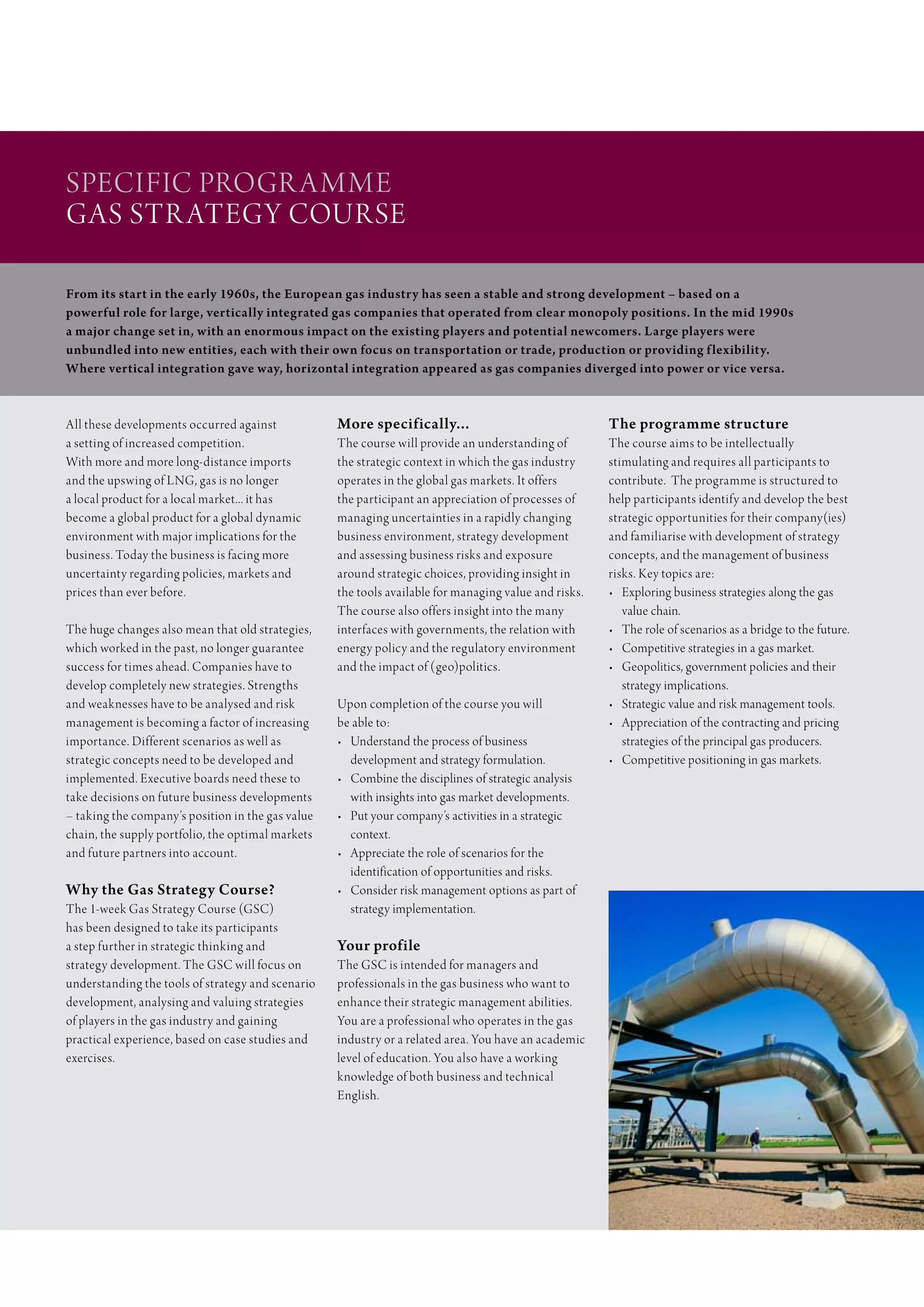 Gas Strategy Course | PDF | Business Administration | Business