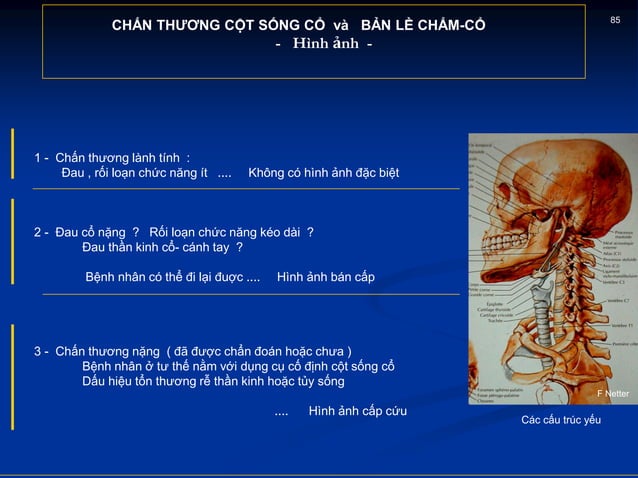 GS Clarisse - 14. Hinh anh chan thuong cot song co va ban le cham co | PPT