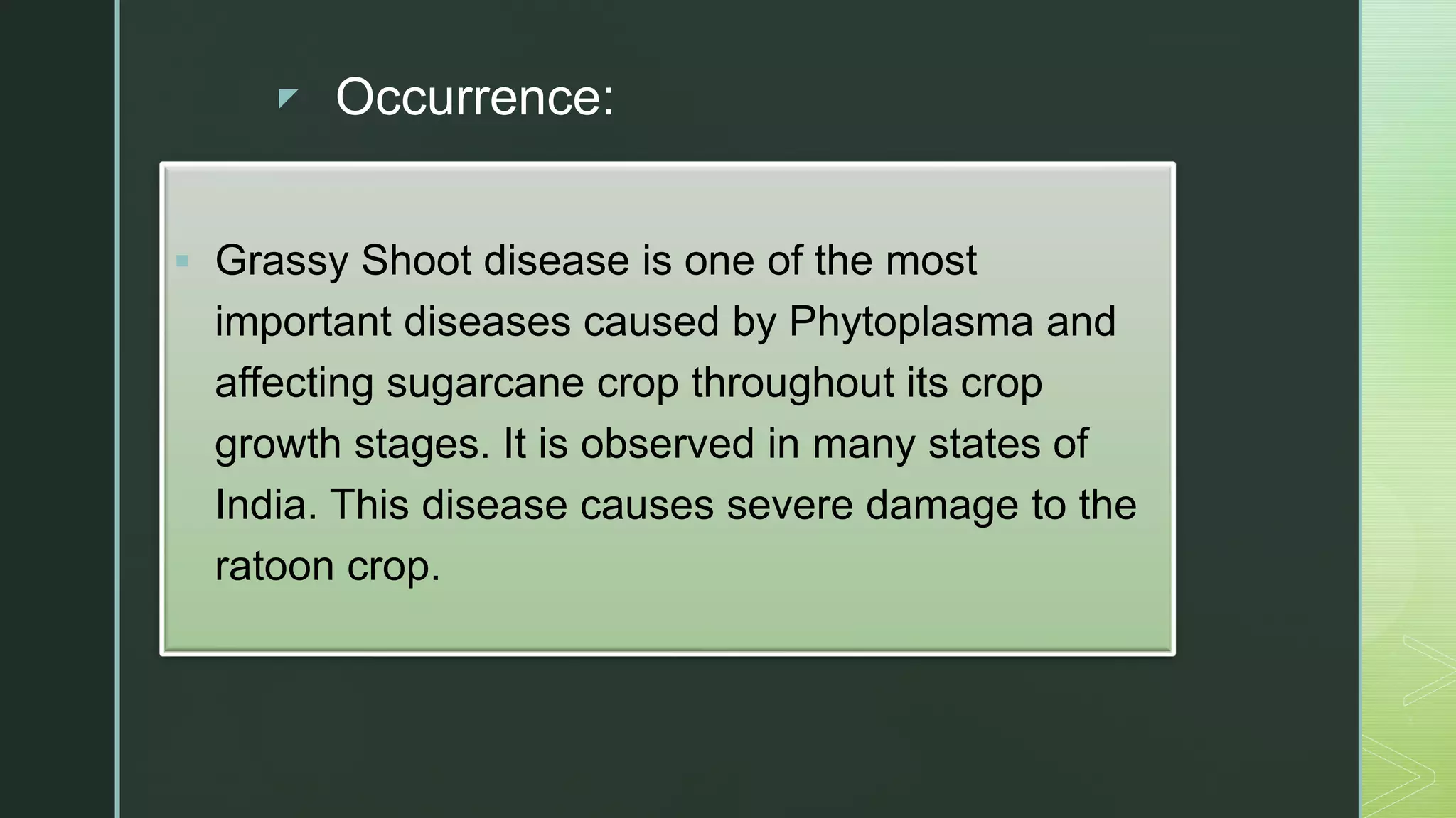GSD-Grassy Shoot Disease of Sugarcane.pdf