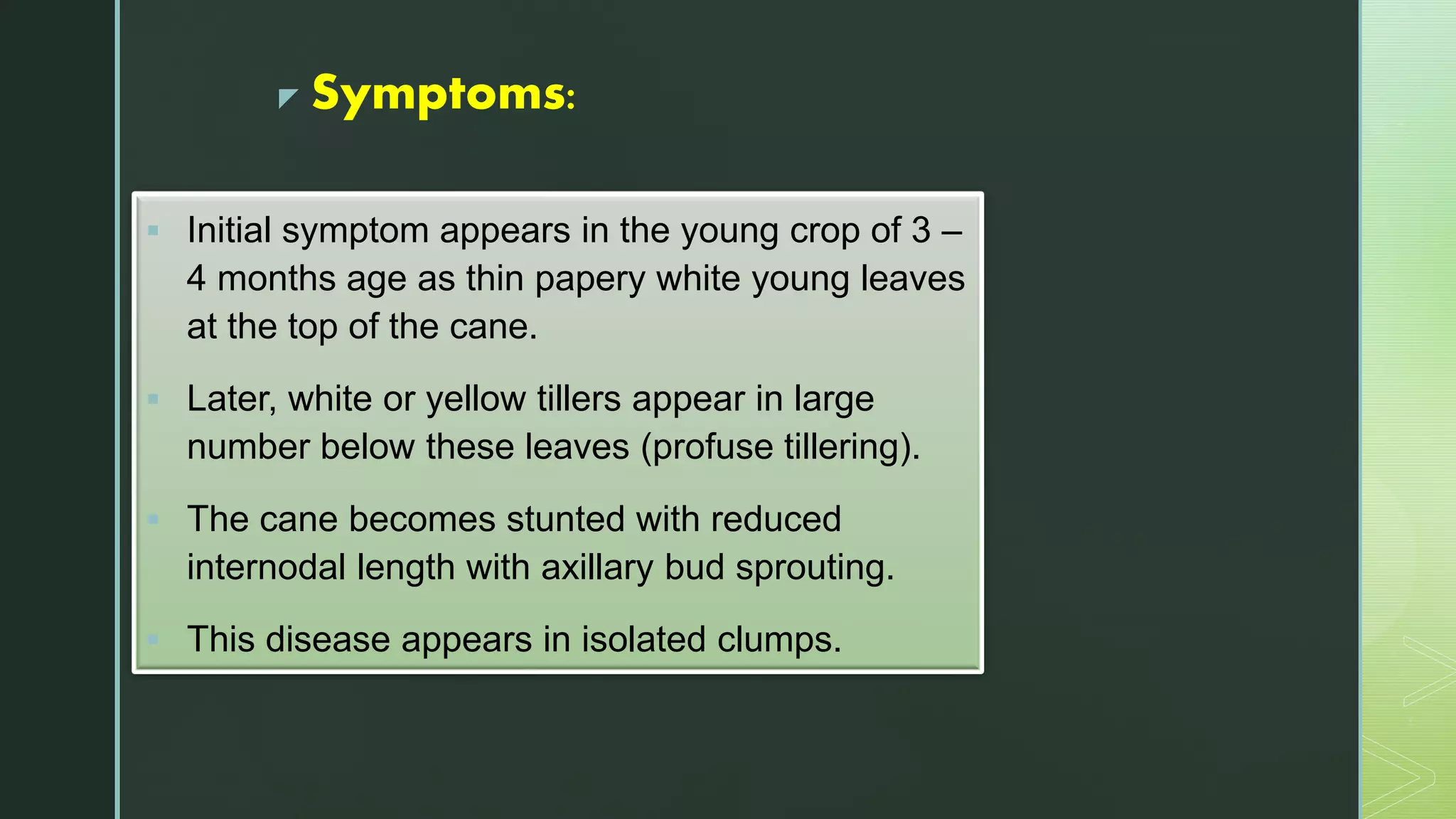 GSD-Grassy Shoot Disease of Sugarcane.pdf
