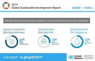 Global Sustainable Development Report (GSDR) | PPT
