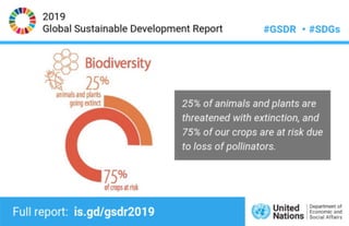 Global Sustainable Development Report (GSDR) | PPT