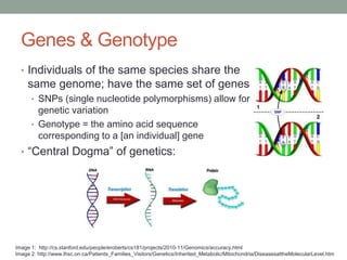 O.M.GSEA - An in-depth introduction to gene-set enrichment analysis | PPTX