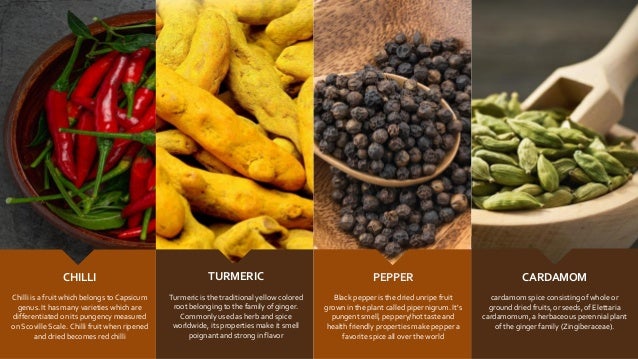 Gs export product catlog.pdf