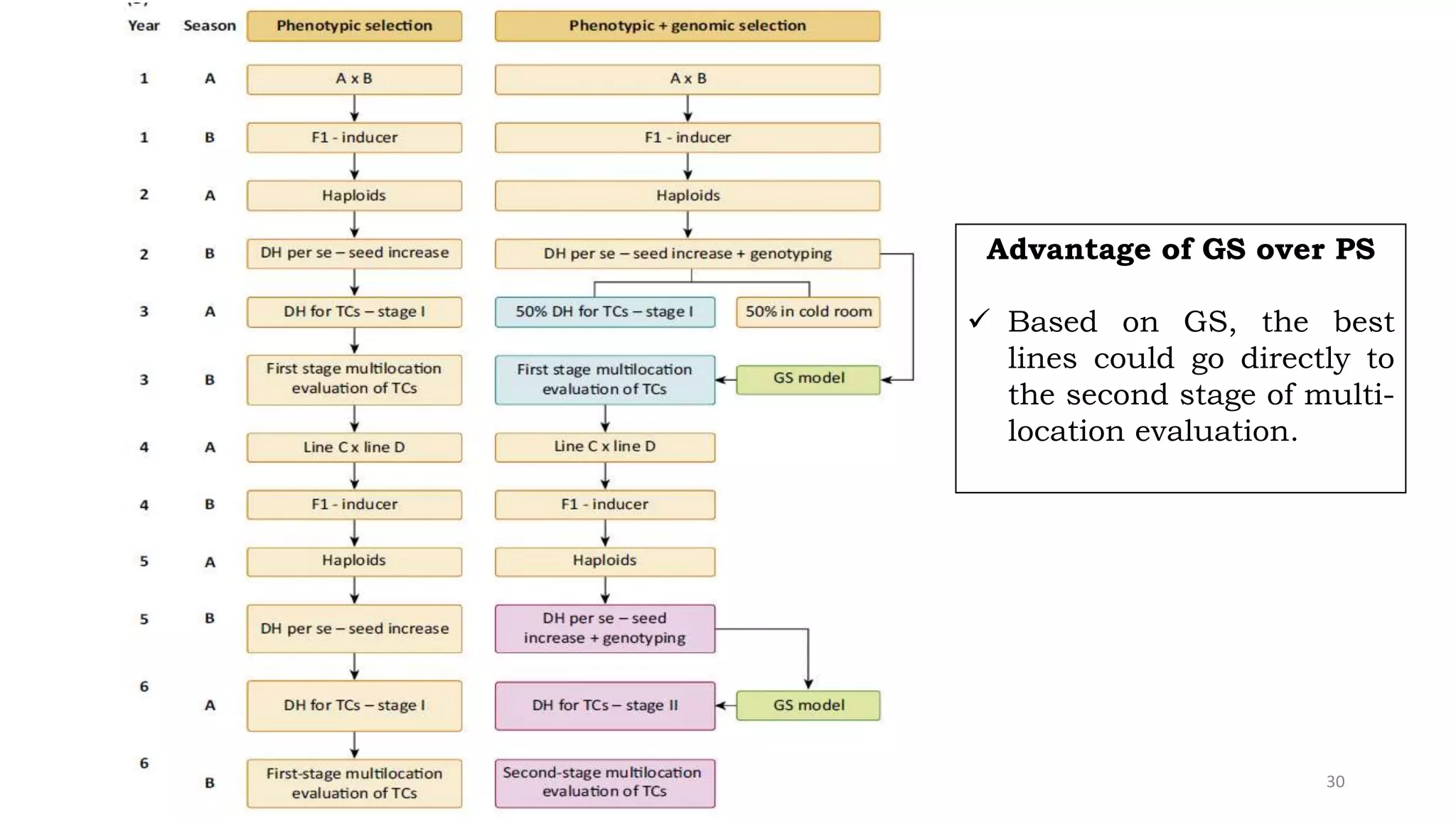 Genomic selection, prediction models, GEBV values, genomic selection in ...