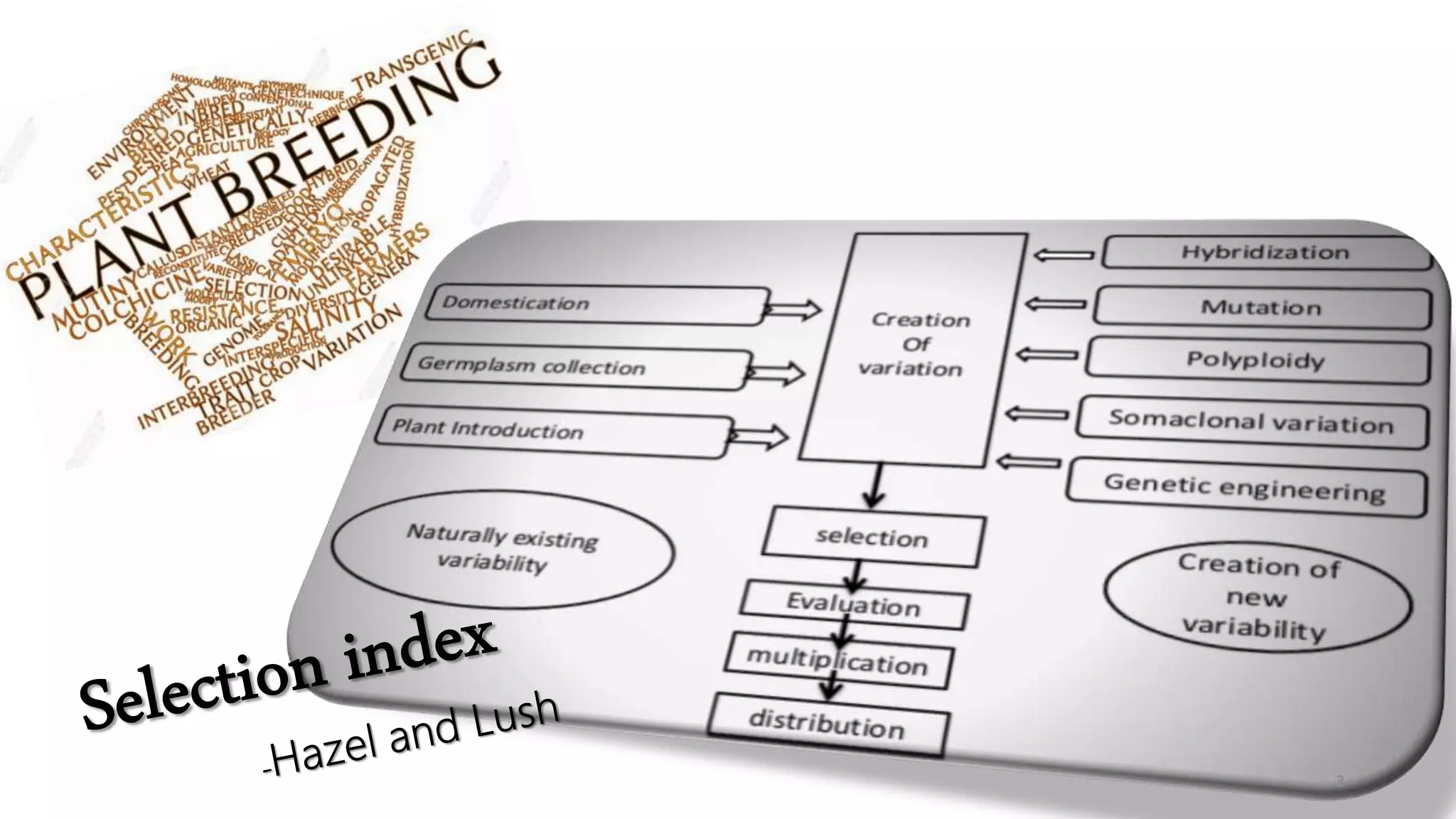 Genomic selection, prediction models, GEBV values, genomic selection in ...