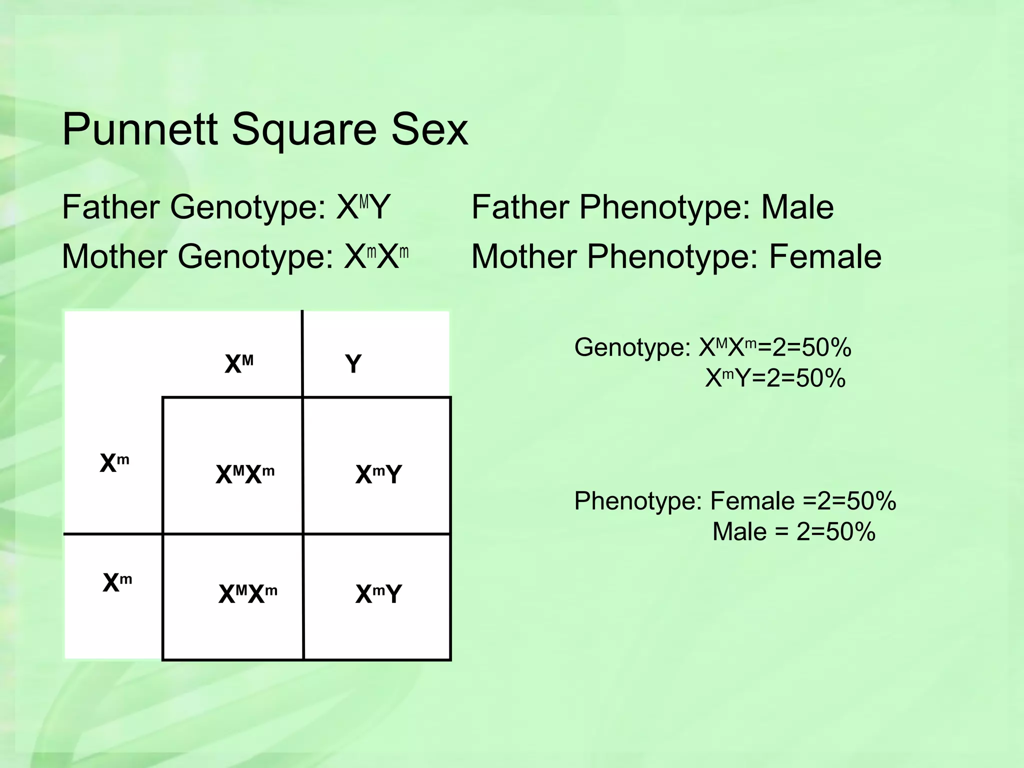 genetic superhero project | PPT