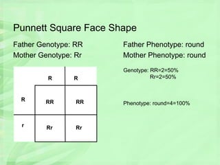 genetic superhero project | PPT