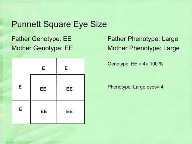genetic superhero project | PPT