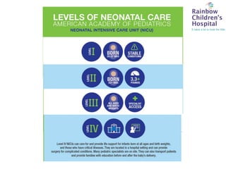 bedside neonatal surgeries | PPTX