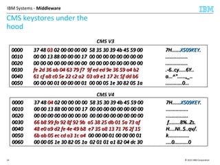 IBM Global Security Kit as a Cryptographic layer for IBM middleware ...