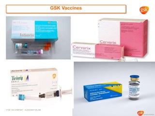 Gsk organizational presentaion | PPTX