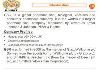 Gsk organizational presentaion | PPTX