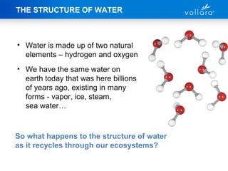 Living Water by Vollara | PPS