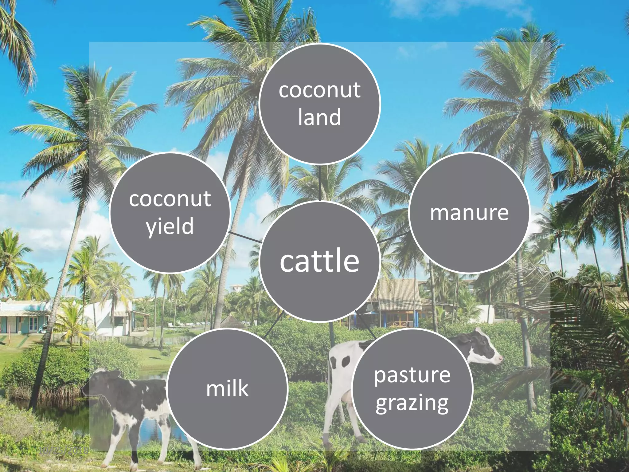 ROLE OF RUMINANT PRODUCTION IN SUSTAINABLE AGRICULTURE | PPTX