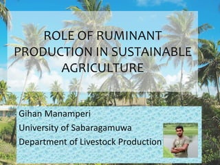 ROLE OF RUMINANT PRODUCTION IN SUSTAINABLE AGRICULTURE | PPTX