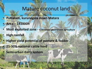 ROLE OF RUMINANT PRODUCTION IN SUSTAINABLE AGRICULTURE | PPTX