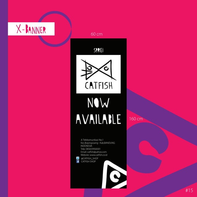 Graphics Standard Manual - Catfish | PDF