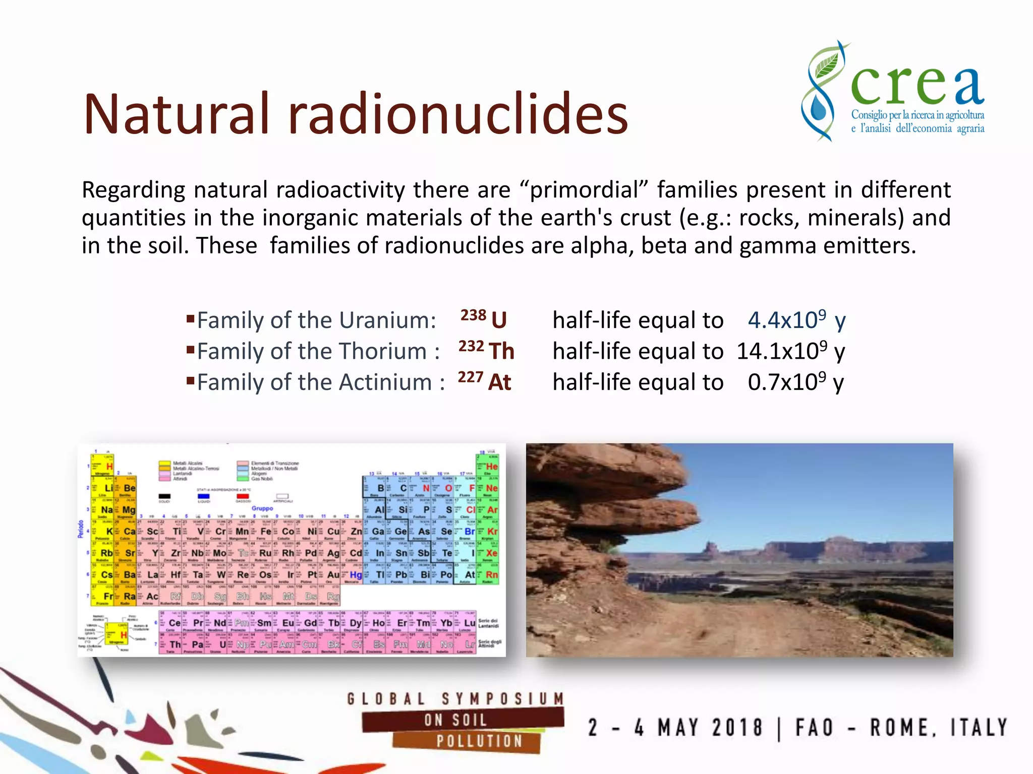 Radionuclide Soil Pollution | PDF