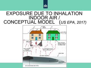 Soil pollution and food safety | PDF