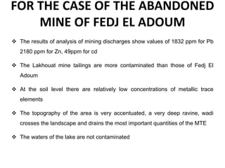 Assessment of heavy metal pollution in the cultivated area around ...