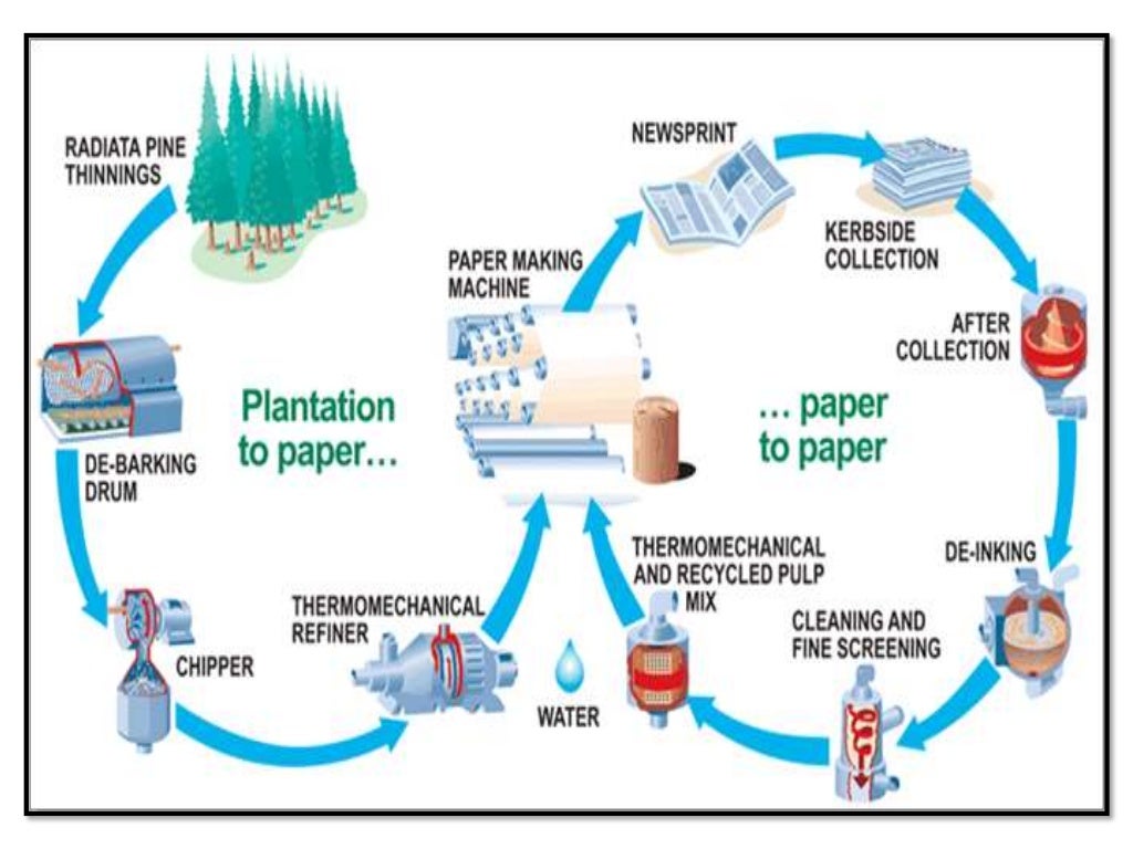 Invention Of Paper invention-of-paper