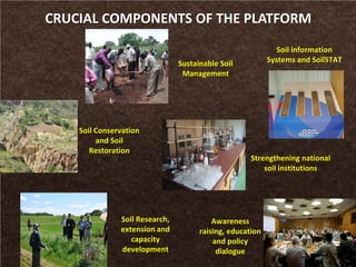 Introduction to the GSP, FAO - Ronald Vargas | PDF