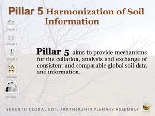 GSP Pillar 5: Harmonization of methods, measurements and indicators | PPT