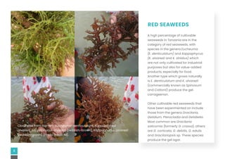 GSS-Seaweed-Diseases-Manual-ENGLISH-Tanzania-DIGITAL.pdf