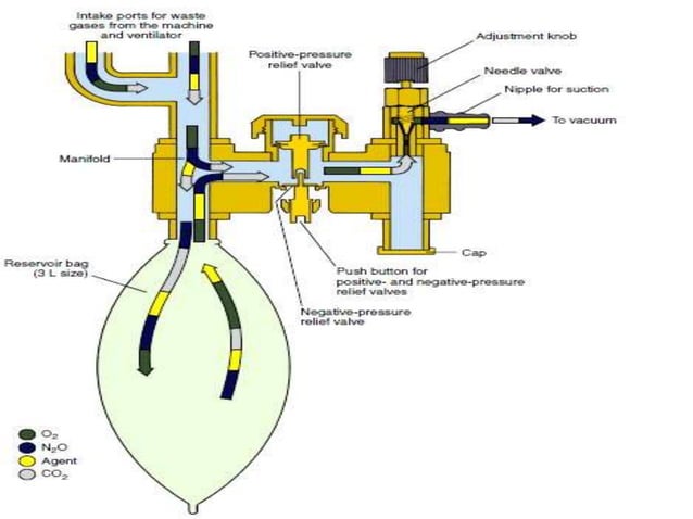scavenging system and hazards | PPTX