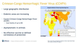 Gabrielle Scher 2020 Sigma Xi Student Research Showcase | PDF