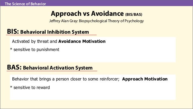 Women & Physical Health Jeopardy Template