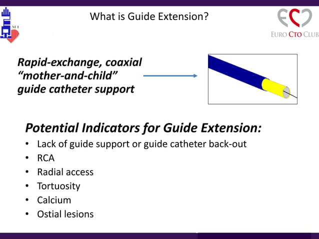 Gsw physician teleflex | PPT
