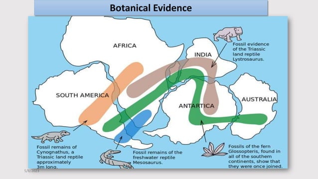 Evolution of Continental Drift Theory by Alfred Wegner | PDF