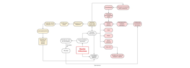 Mastite infecciosa e o processo inflamatório/infeccioso
