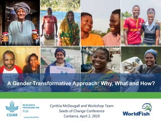 Gender Transformative Approaches: Big ideas | PPTX