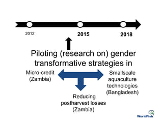 Gender Transformative Approaches: Big ideas | PPTX