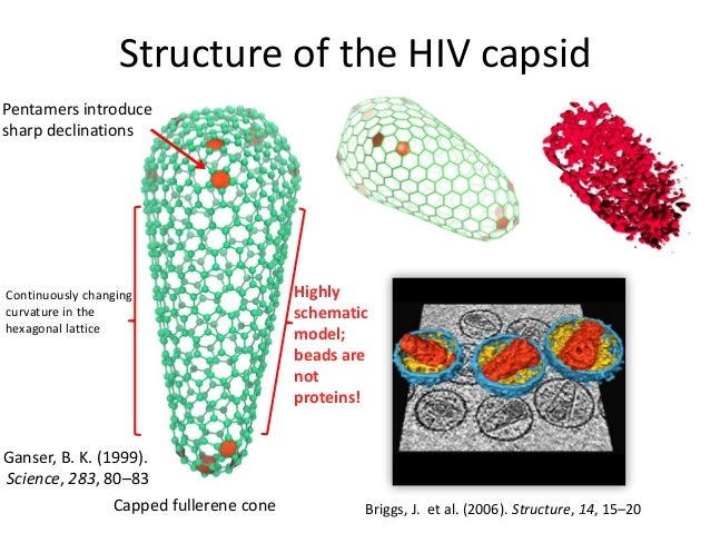 Uncovering the Elusive HIV Capsid with Kepler GPUs Running NAMD and V…