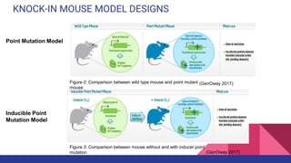 GROUP 7- KNOCK IN MOUSE MODEL USED FOR DISEASE MODELLING | PPT