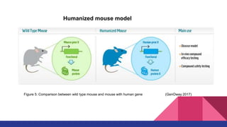 GROUP 7- KNOCK IN MOUSE MODEL USED FOR DISEASE MODELLING | PPTX