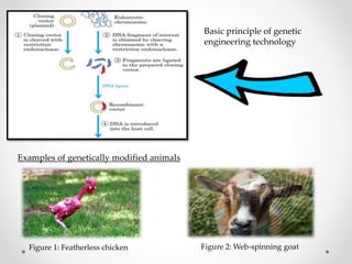 Gtc presentation | PPTX