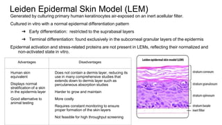 Gene Tissue Culture Assignment | PPT
