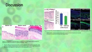 GTC Group 4 Assignment | PPTX