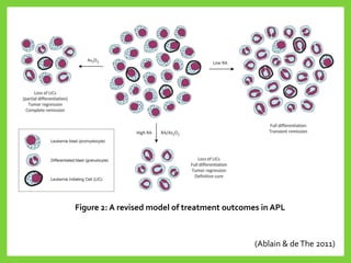 Differentiation Therapy in Acute Promyelocytic Leukemia | PDF