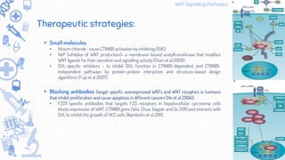 Therapeutic strategies that target the cellular transformation process ...