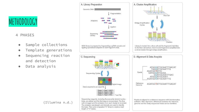The Application of Next Generation Sequencing (NGS) in cancer treatment ...