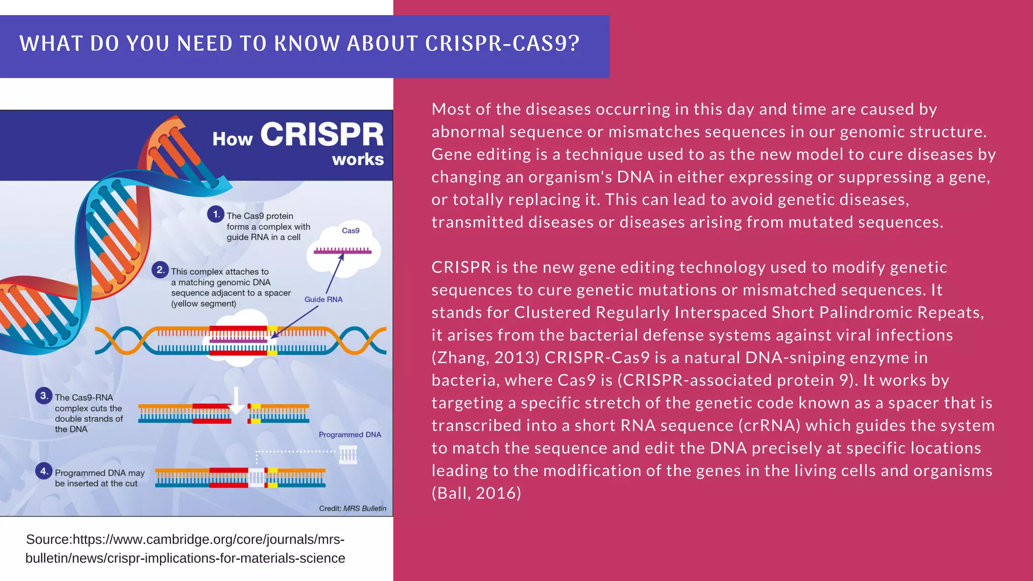 Applications of Gene Editing: CRISPR-Cas9 in Cancer Therapeutics (Oncogenes) | PDF