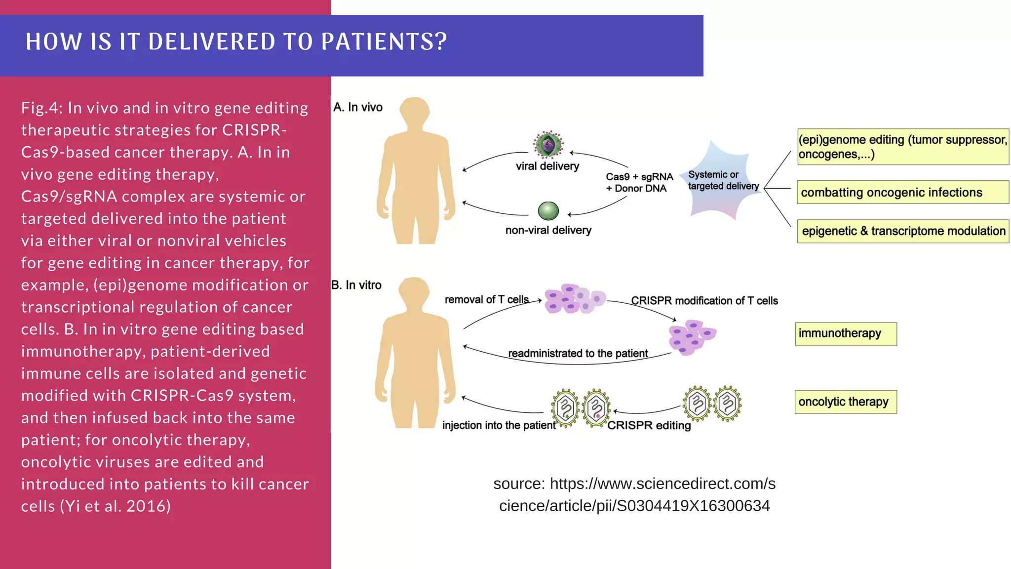 Applications of Gene Editing: CRISPR-Cas9 in Cancer Therapeutics ...