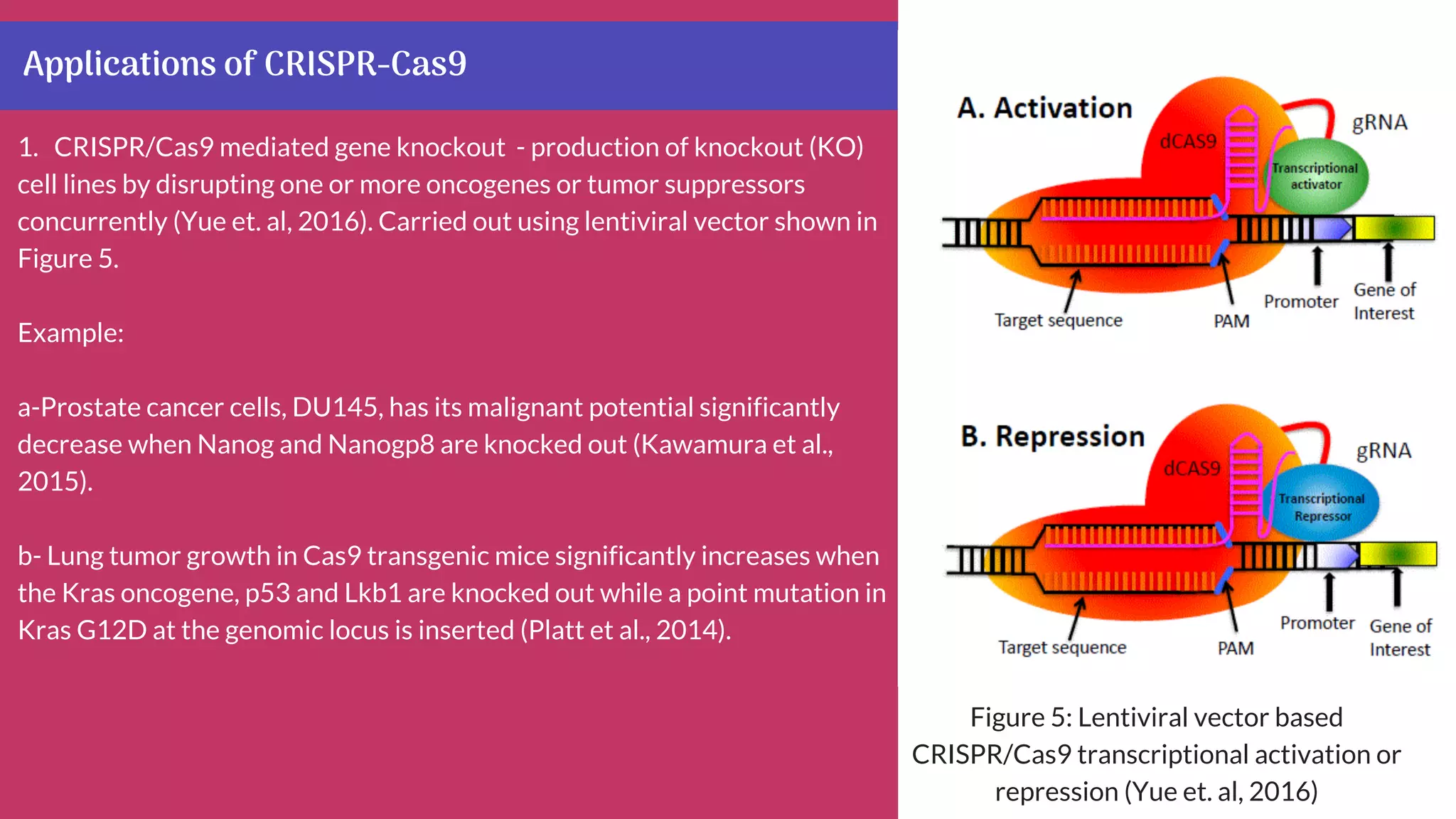 Applications of Gene Editing: CRISPR-Cas9 in Cancer Therapeutics ...