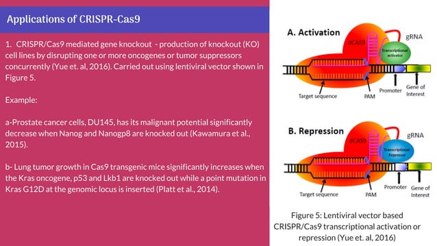 Applications of Gene Editing: CRISPR-Cas9 in Cancer Therapeutics ...